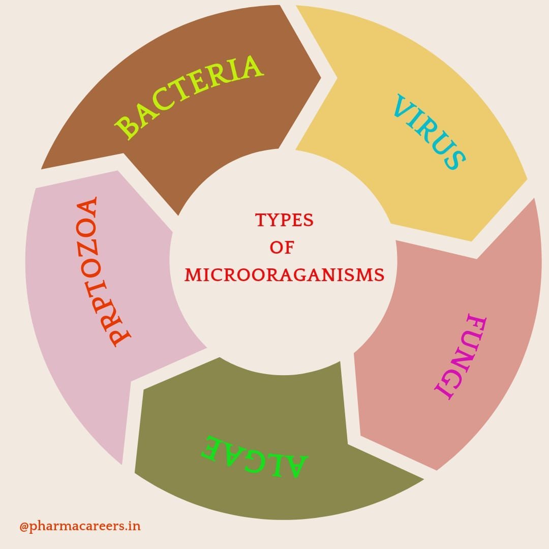 Microbiology- Definition, History, Types Of Microorganisms, Branches Of ...
