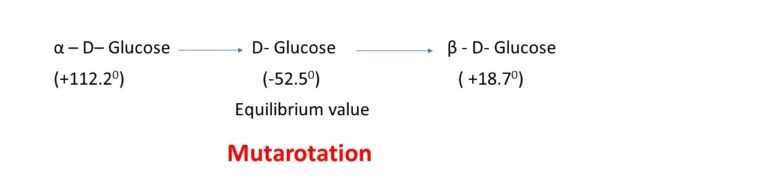 Carbohydrates: Introduction, Classification, Chemical Nature And ...