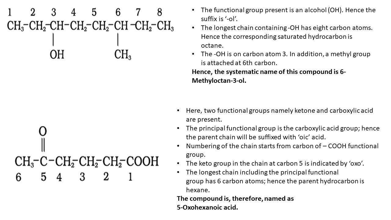 IUPAC System Of Nomenclature Of Organic Compounds » PHARMACAREERS