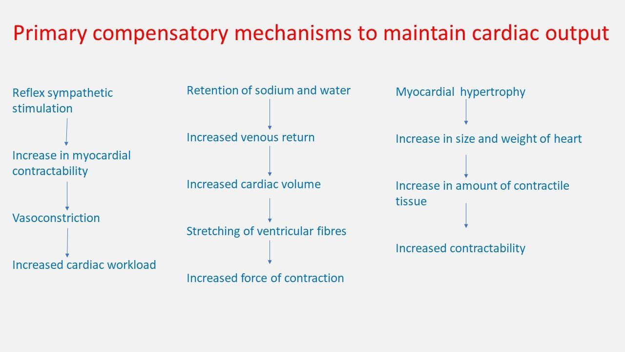 Congestive Heart Failure (CHF): Pathophysiology » PHARMACAREERS