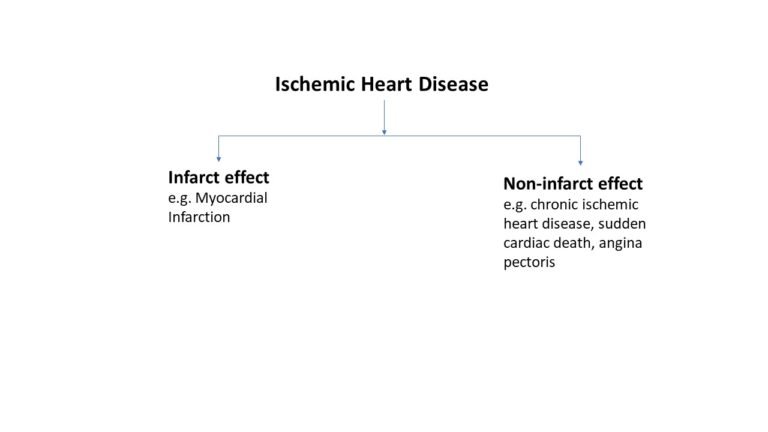 Ischemic Heart Disease (IHD) » PHARMACAREERS