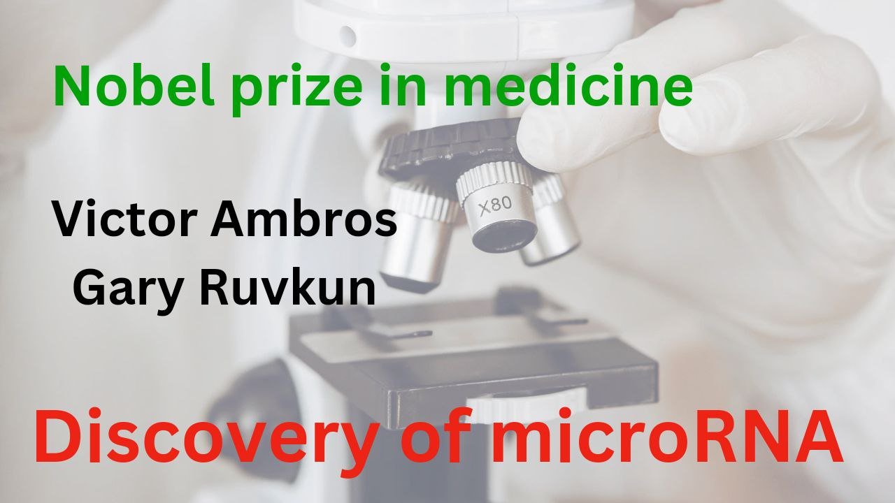 Nobel Prize 2024: Celebrating The Groundbreaking Discovery Of MicroRNA » PHARMACAREERS